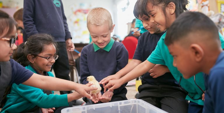 Newsletter-large-image-_0004_Greenmount Primary002 | Greenmount Primary School