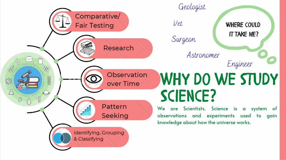 Why Do We Study Science Greenmount Primary School